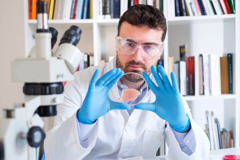 Fresh Meat Sample Quality Control in Laboratory Microscope Stock Photo ...