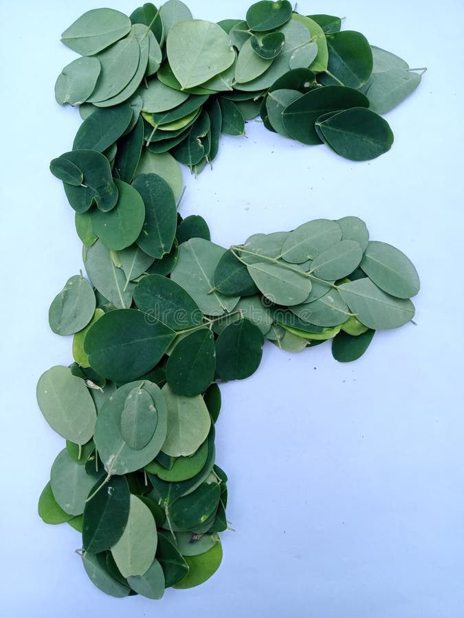 Fresh Medicinal Leaves in the Shape of Letters, According To the ...