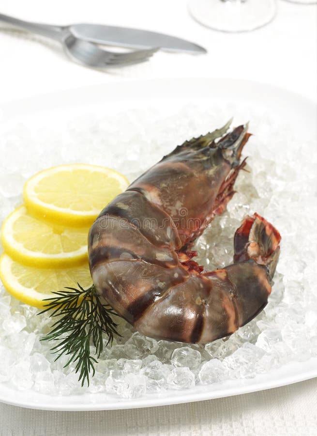 GAMBAS stock photo. Image of studio, restaurant, seafood - 170504454