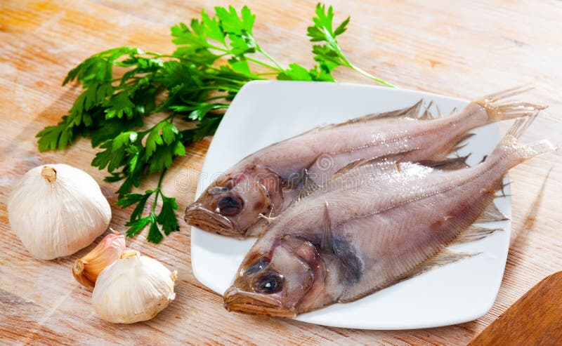 Fresh Megrim Sole Flatfish on Wooden Board Stock Photo - Image of food ...