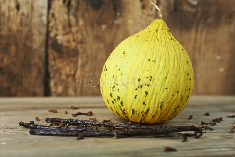 Fresh melon with spices. stock image. Image of fruit - 35054977