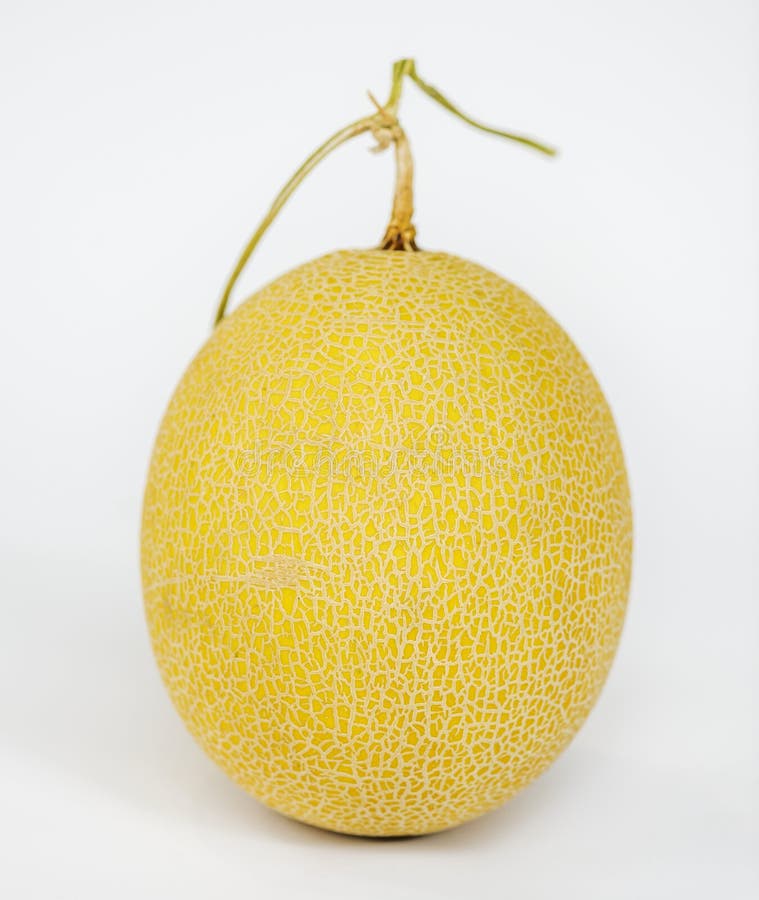 Fresh melon on white stock image. Image of real, healthy - 101852443