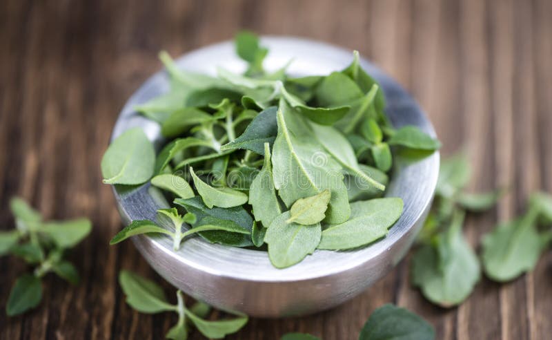 Fresh Menthol Leaves (selective Focus) Stock Image - Image of leaves ...