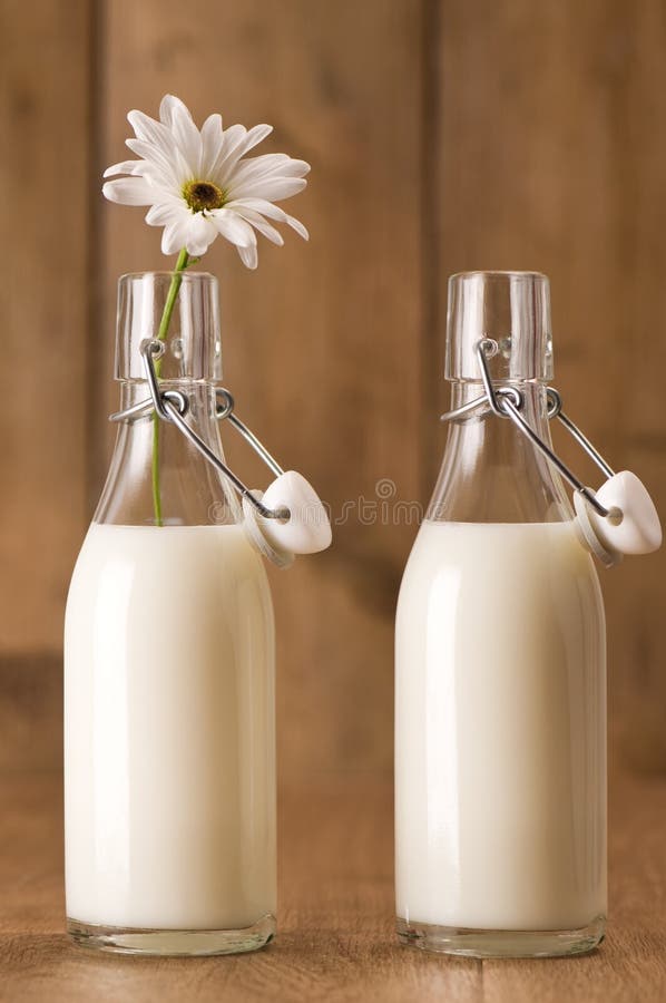 Fresh milk products stock image. Image of meal, cottage - 13235989