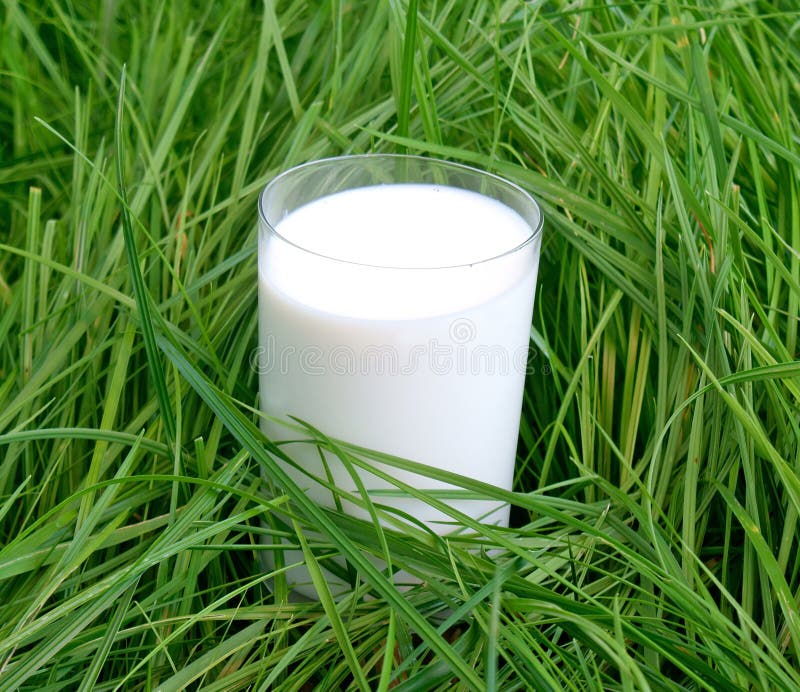 Fresh milk stock photo. Image of health, product, food - 15076046