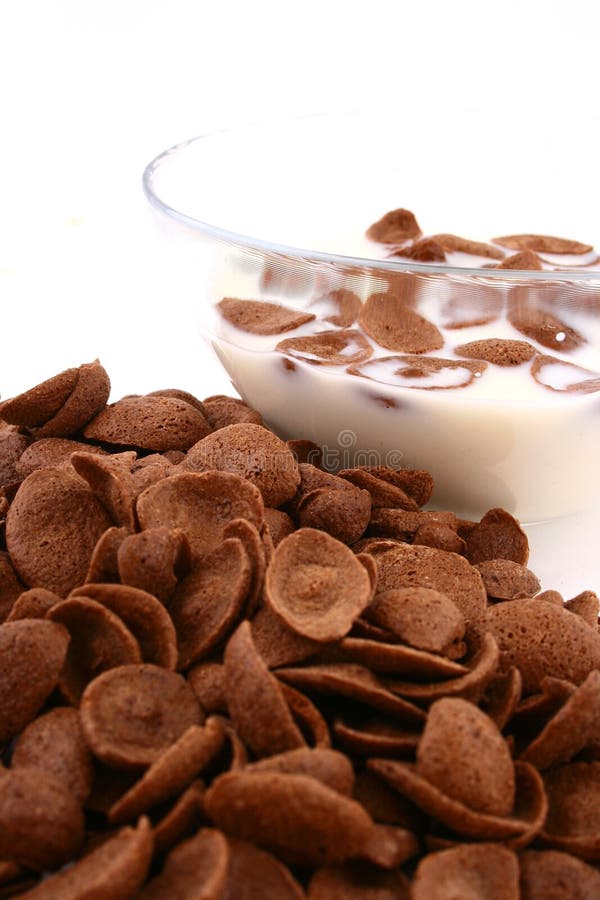 Fresh milk stock image. Image of healthy, spout, cows - 4345547