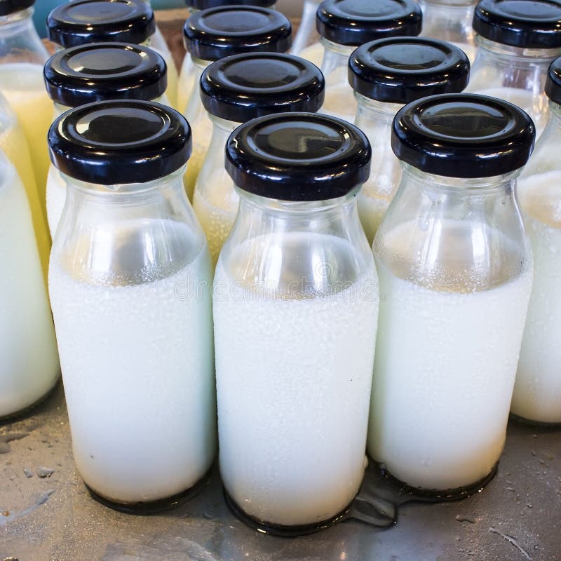 Fresh Milk stock image. Image of setting, group, fashioned - 33695417