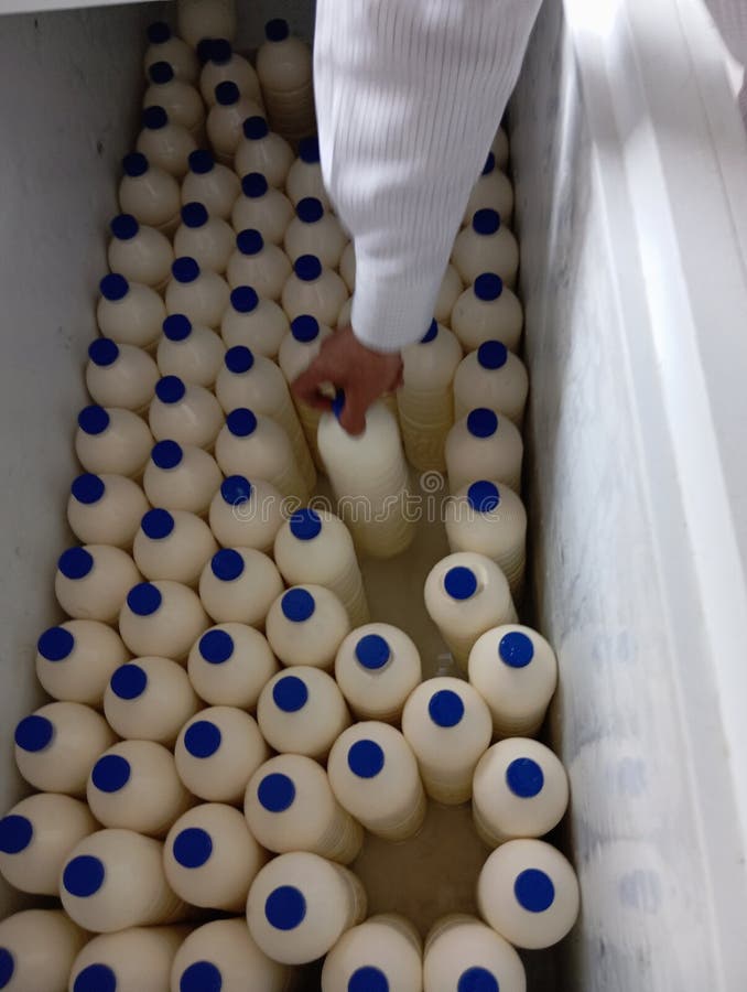 Fresh Milk from Java Indonesia Editorial Image - Image of nutritional ...