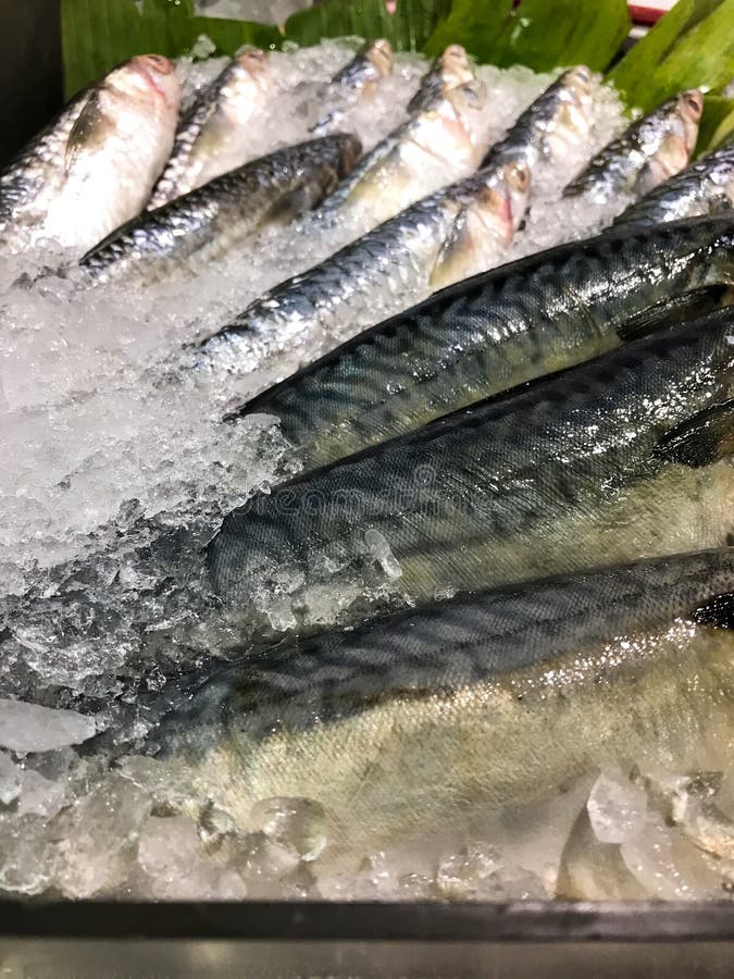 Fresh Milkfish Display in Local Supermarket Stock Photo - Image of ...