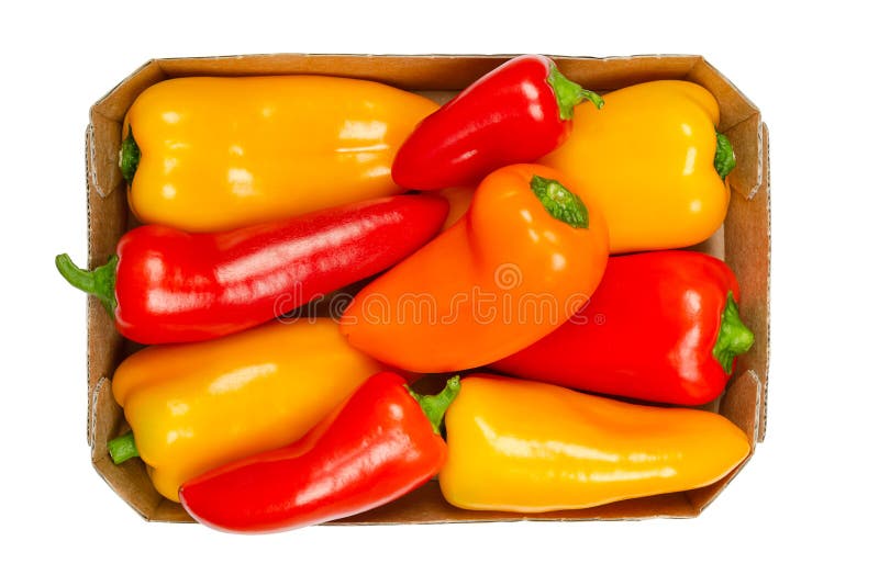 Snacking Mini Sweet Peppers, Capsicums, in a Cardboard Tray Stock Image ...