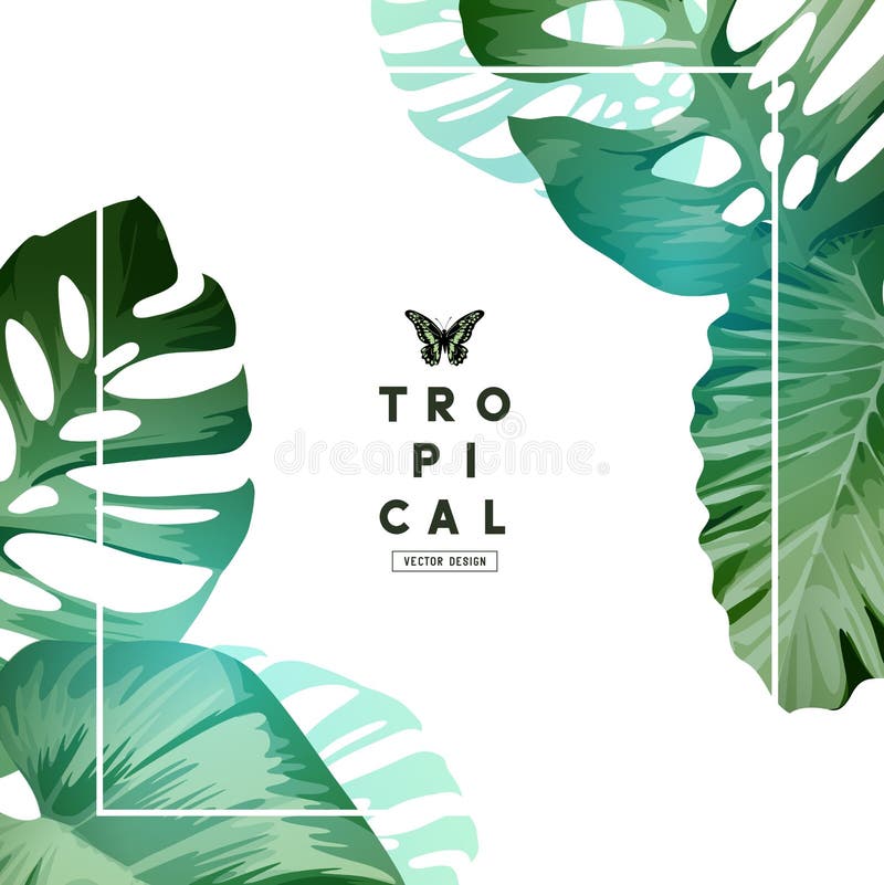 Fresh Minimal Tropical Frame Design Stock Vector - Illustration of ...