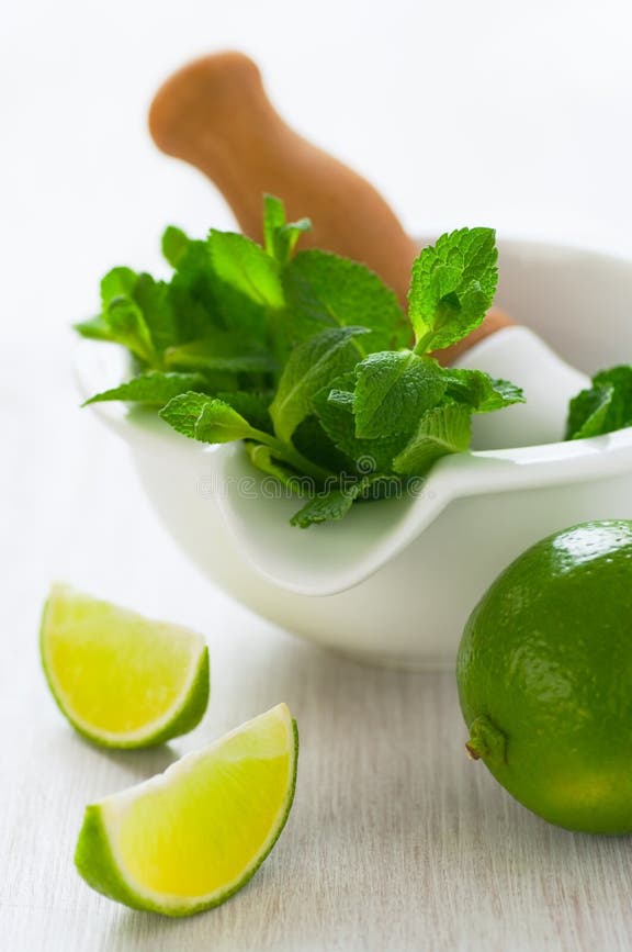 Fresh mint stock image. Image of vegetable, herb, grind - 24600293