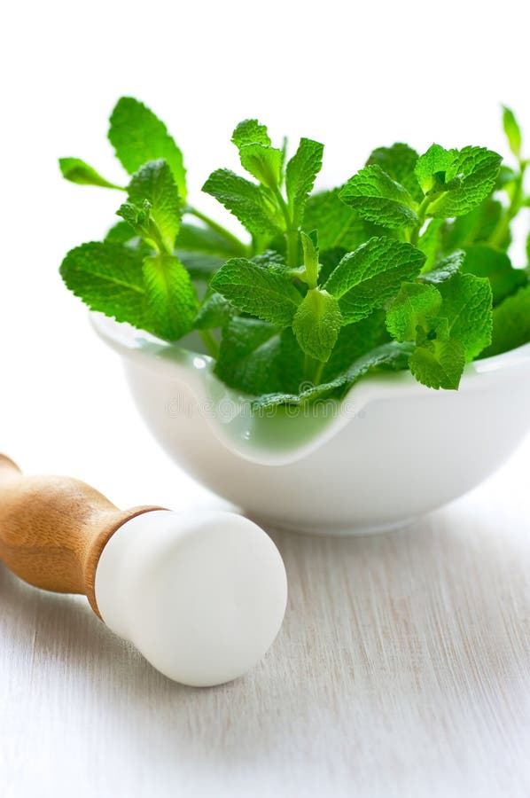 Fresh mint stock image. Image of food, pestle, mint, flavoring - 24884379