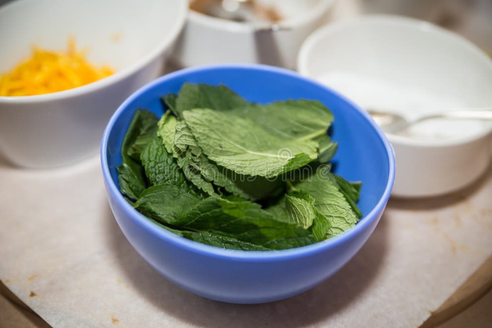 Fresh mint stock photo. Image of nature, organic, herb - 49386966