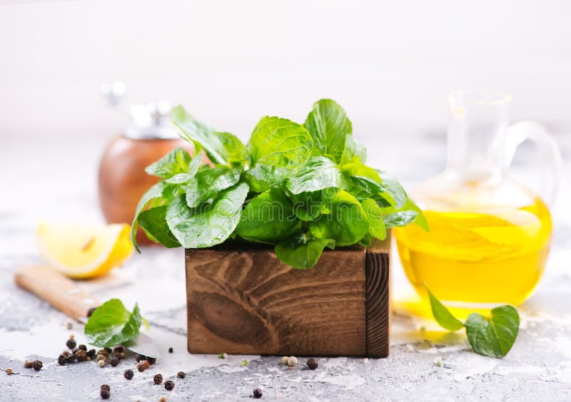 Fresh mint stock image. Image of herbal, juicy, flora - 50331413