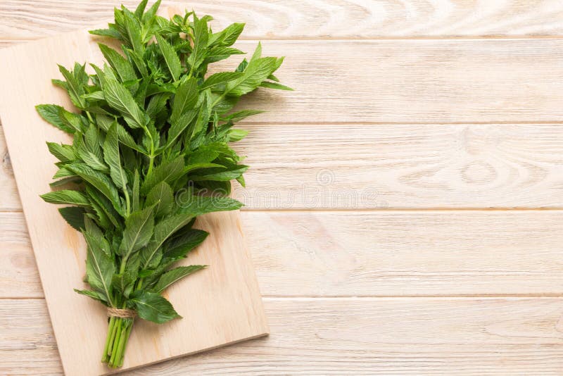 Fresh Mint Bunch on Colored Table. Top View with Copy Space Stock Image ...