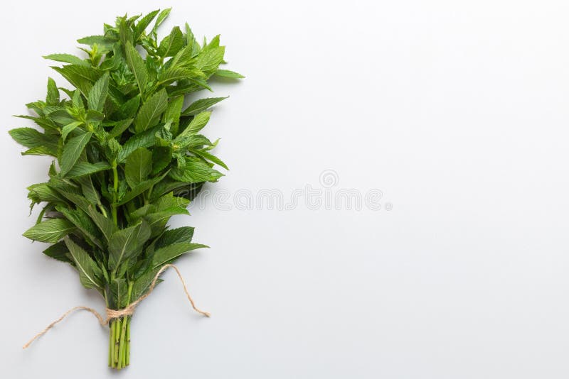 Fresh Mint Bunch on Colored Table. Top View with Copy Space Stock Photo ...