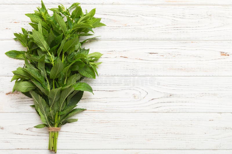 Fresh Mint Bunch on Colored Table. Top View with Copy Space Stock Image ...