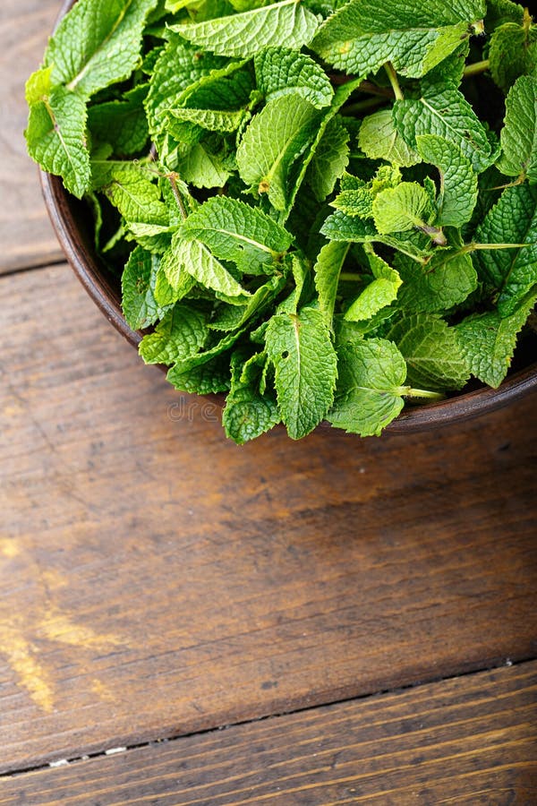 Fresh mint leaf isolated stock image. Image of food - 138283957