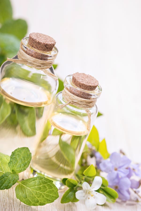 Fresh mint essential oil stock image. Image of massage - 70247465