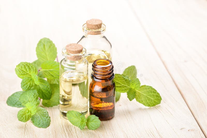 Fresh mint essential oil stock image. Image of green - 70244271