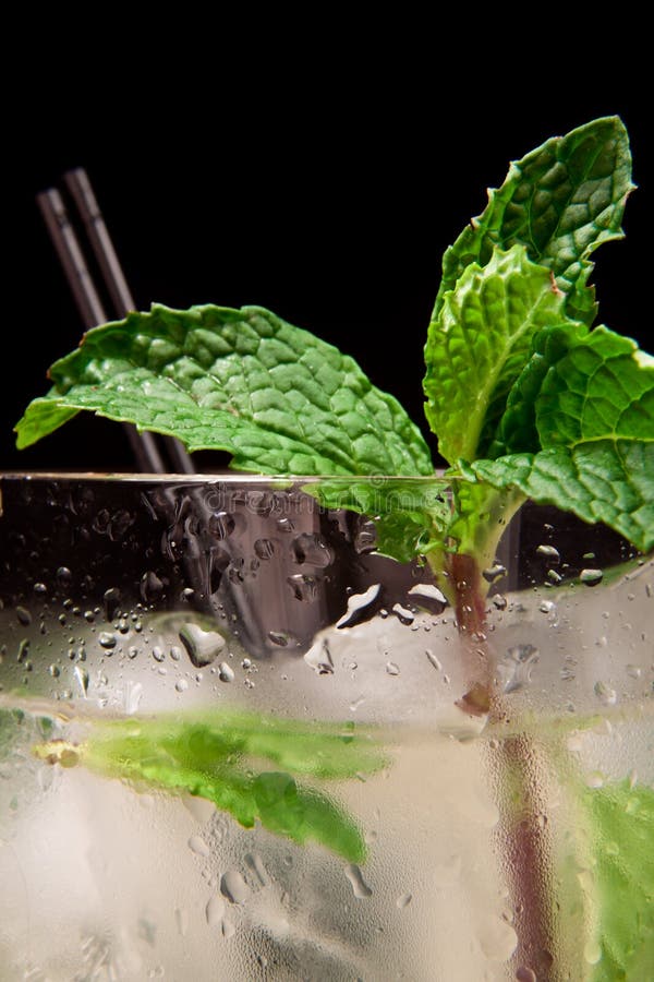 Fresh mint garnish stock image. Image of green, aromatherapy - 22714547