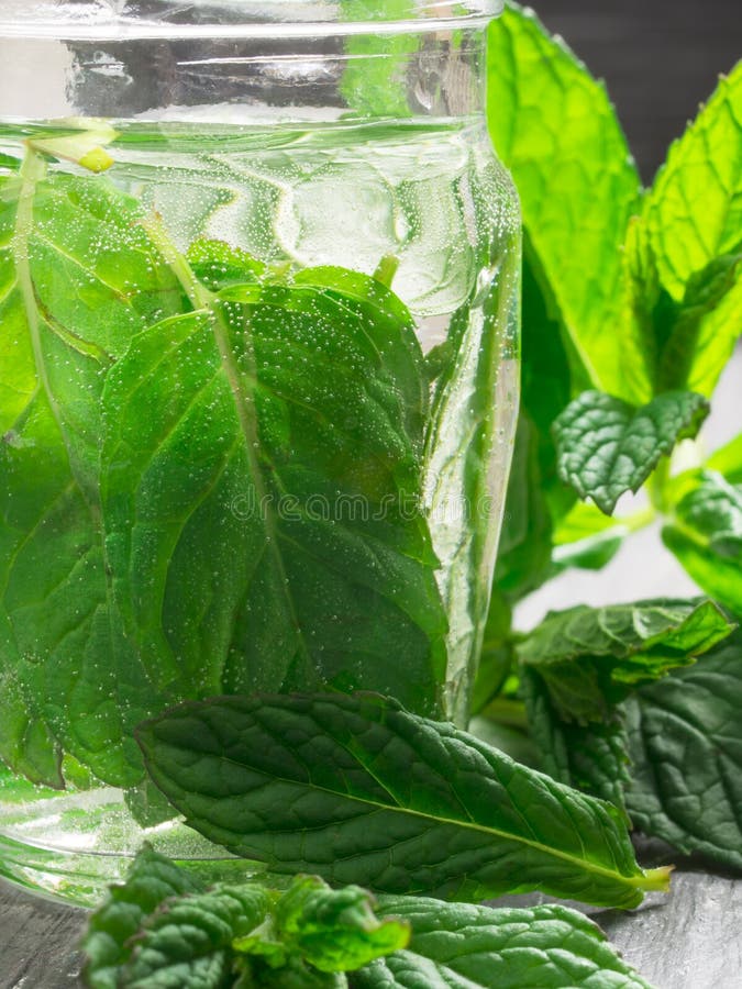 Fresh mint leaves stock photo. Image of herbs, plant - 90782956