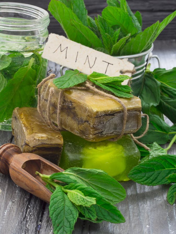 Fresh mint leaves stock image. Image of organic, seasoning - 90782983