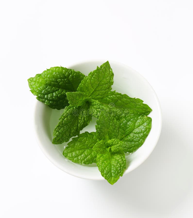 Fresh mint leaves stock image. Image of mint, food, close - 14273221