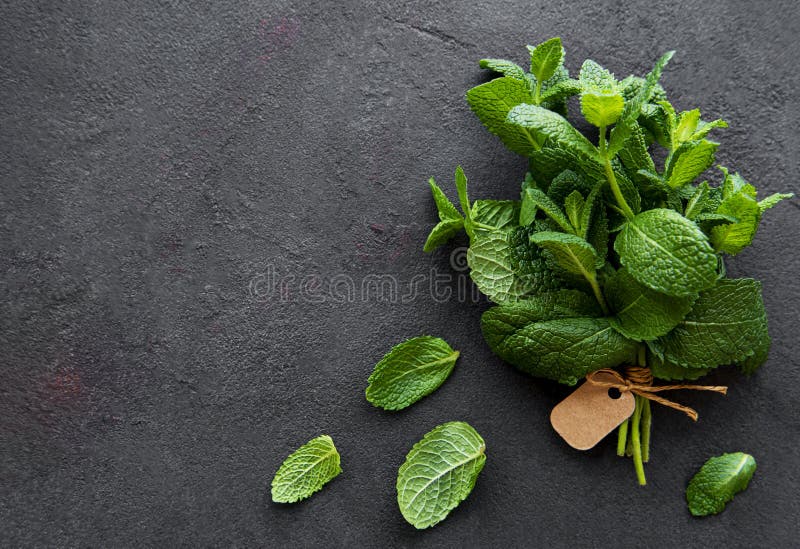 Fresh Mint Leaves Herb on Stone Table. Stock Photo - Image of cocktail ...