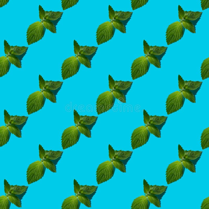 Fresh Mint Leaves Seamless Pattern on Blue Background Stock Photo ...
