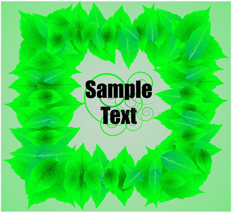 Fresh mint leaves stock vector. Illustration of organic - 52874583