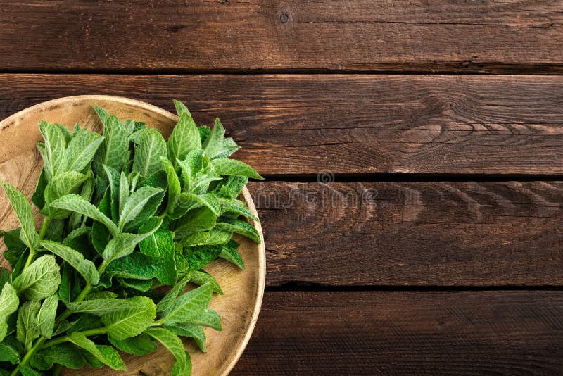 Fresh Mint Leaves on Wooden Rustic Table Stock Image - Image of ...
