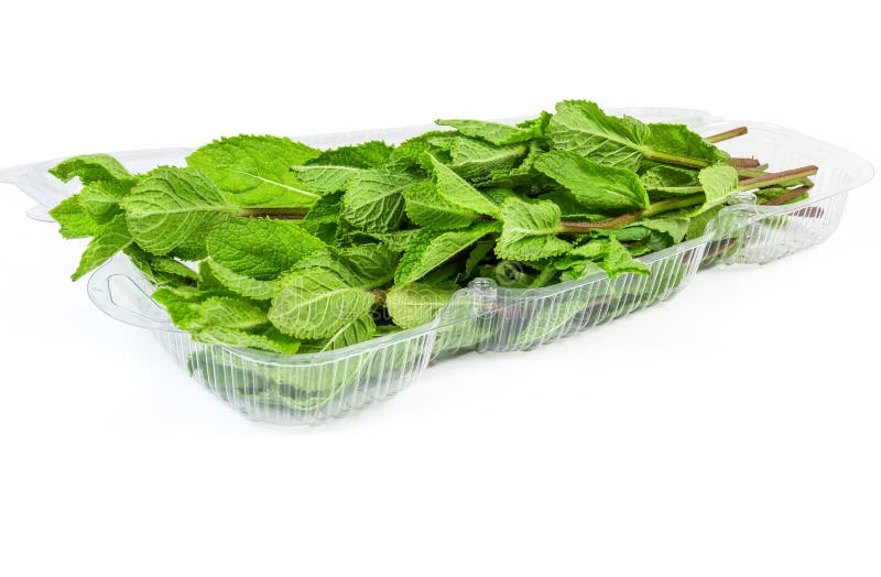 Fresh Mint in the Open Plastic Container Close-up Stock Image - Image ...