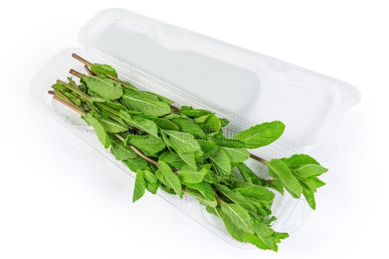 Fresh Mint in the Open Plastic Container on White Background Stock ...