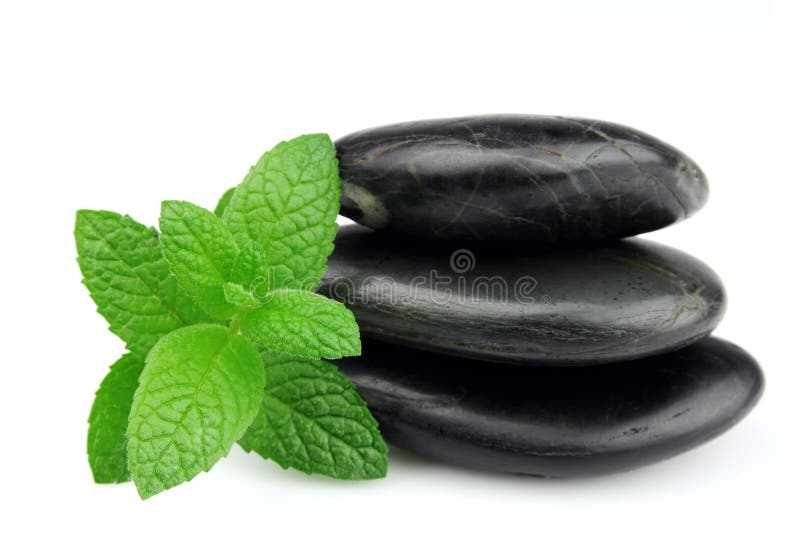 Fresh mint on the stones stock image. Image of fresh - 21875871