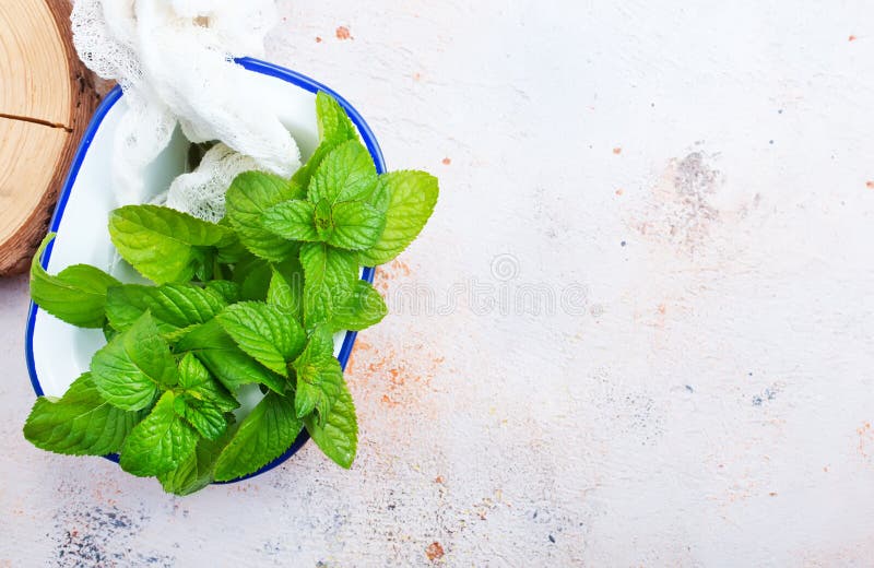 Fresh mint stock photo. Image of ingredient, mint, peppermint - 126794330