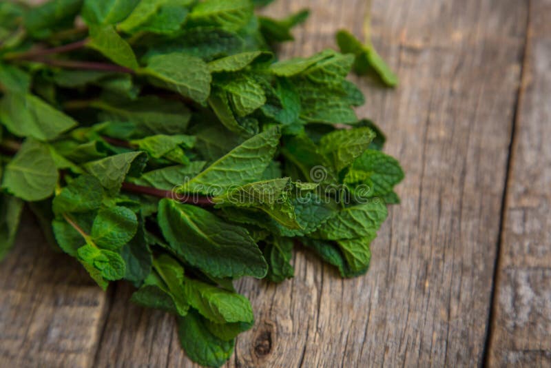 Fresh mint on a table stock image. Image of mojito, healthy - 85180693