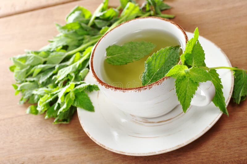 Green herbal tea with mint stock photo. Image of teapot - 18294012
