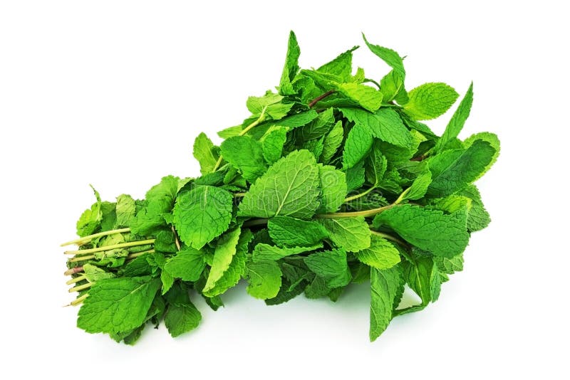 Fresh Mint on White Background Stock Image - Image of herb, mint: 99613301