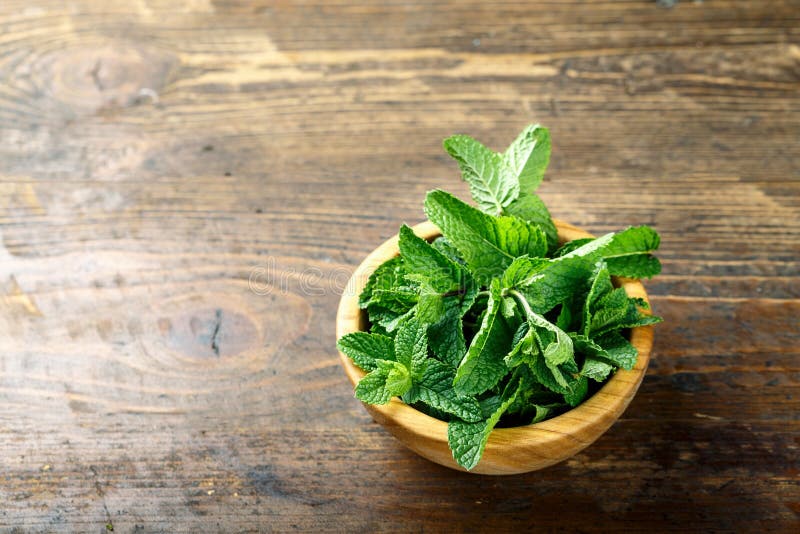 Fresh Mint in a Wooden Plate Stock Image - Image of nature, leaves ...