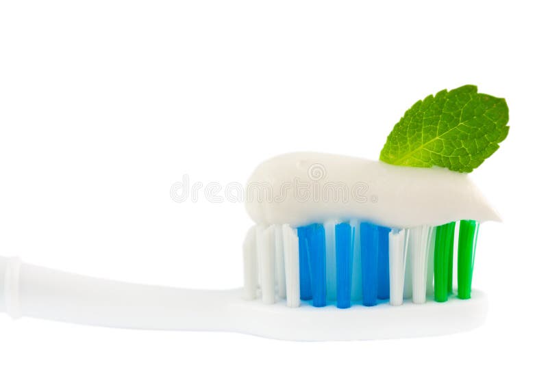 Fresh Minty Toothbrush stock photo. Image of cleaning - 24633310
