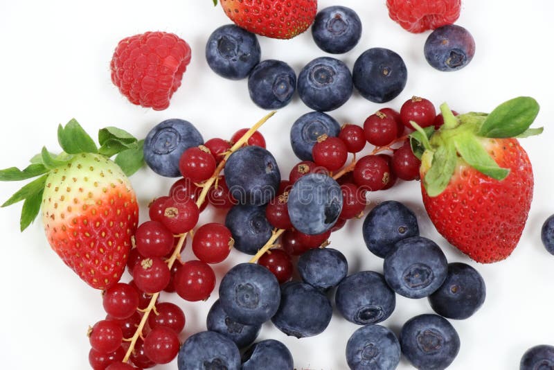 Fresh Mixed Berries stock photo. Image of green, container - 38579742