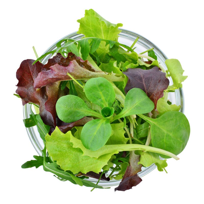 Fresh Mixed Greens Leaf Vegetables in Bowl Isolated, Top View Stock ...