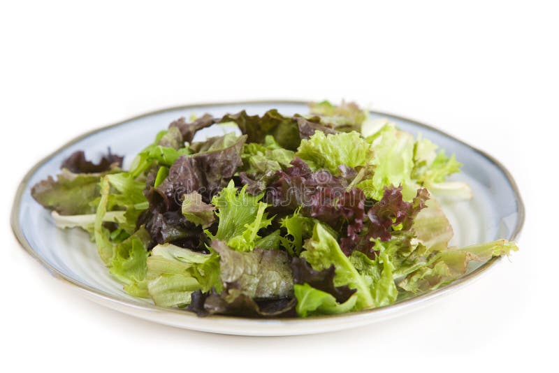 Fresh mixed lettuce stock photo. Image of vitamin, table - 97705842