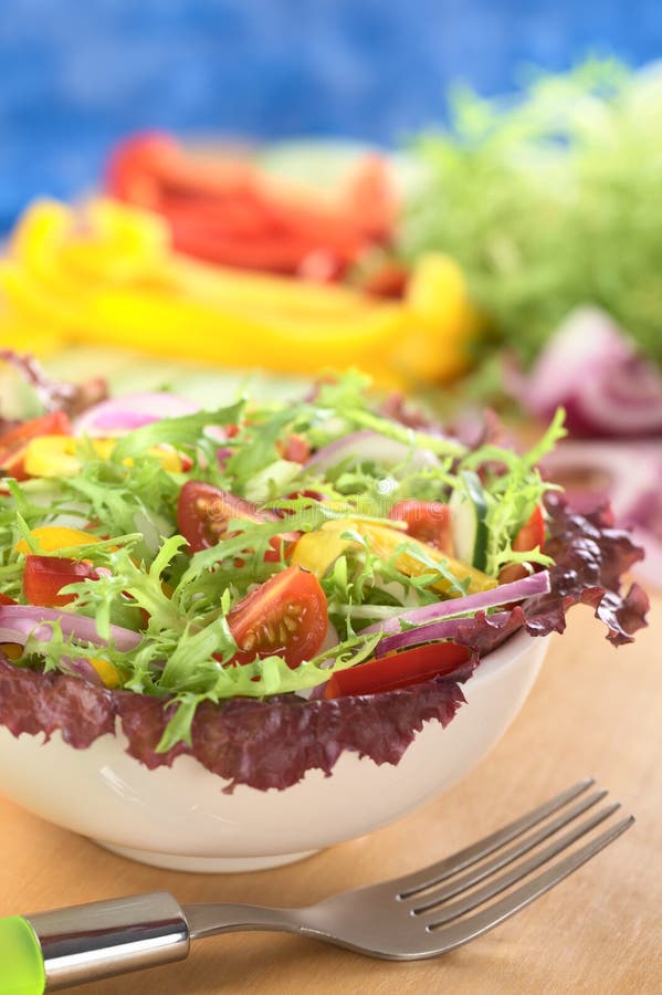 Fresh Mixed Salad stock image. Image of endive, cherry - 19716817