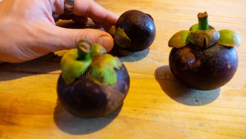Fresh Mongoose Fruit on a Fair Breaking Away from the City Stock Photo ...