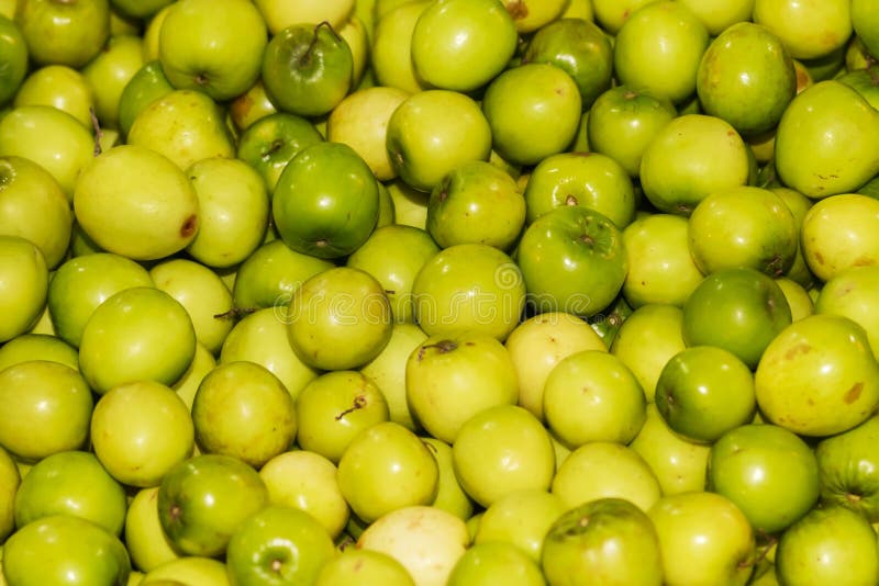 Fresh Monkey Apple stock photo. Image of fresh, tropical - 64585554