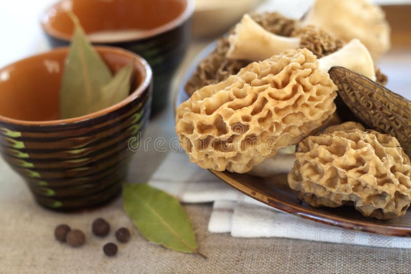 Fresh morel mushrooms stock image. Image of fungi, food - 40207573