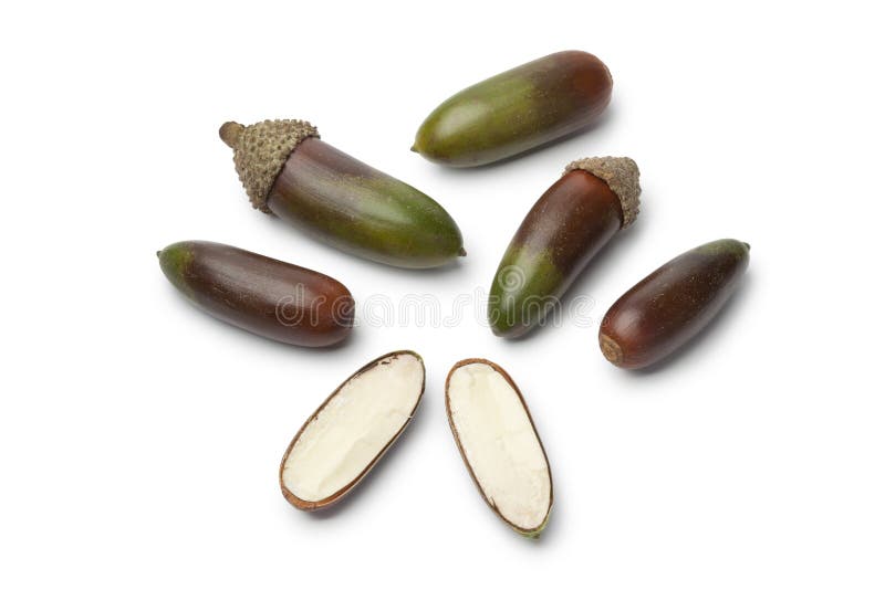 Fresh Moroccan acorns stock image. Image of studio, white - 35354547